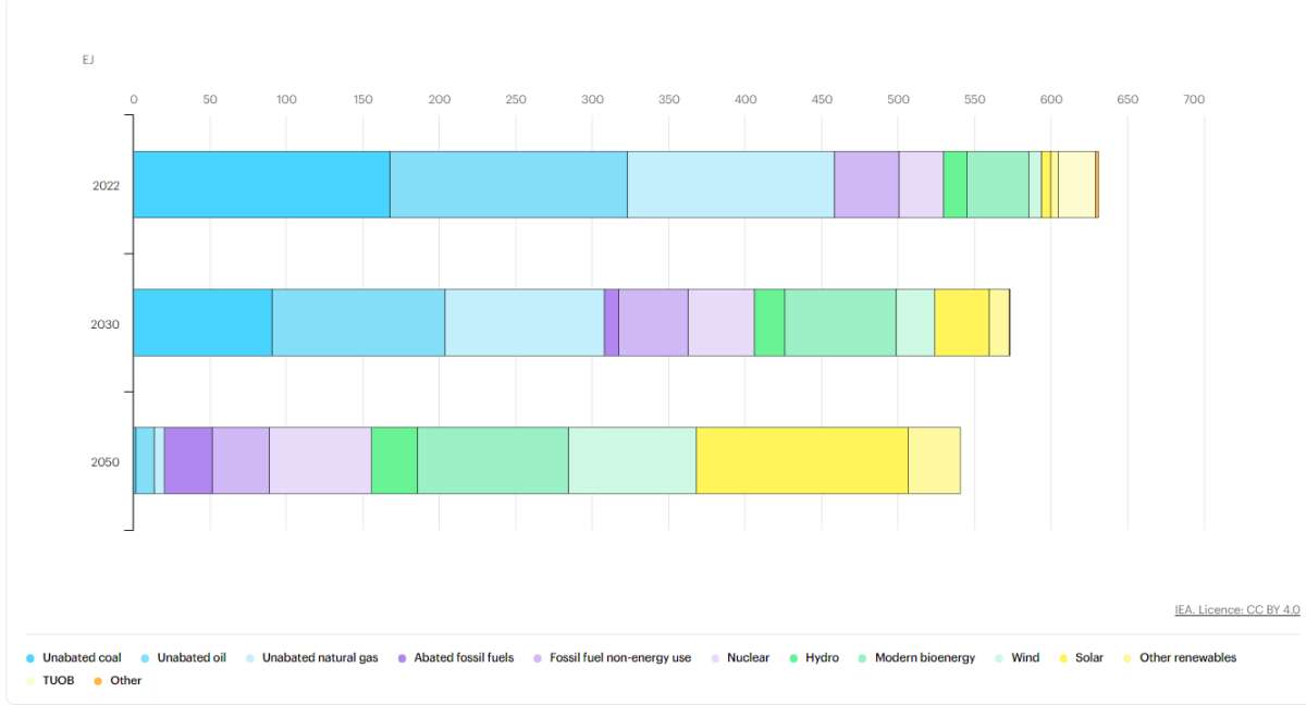 Net Zero Roadmap: Ehrgeiz entscheidend für Klimaziele